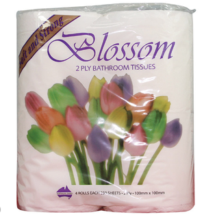 Eclipse Toilet Rolls 2Ply 700Sh Forrest / 48 Essential products ...