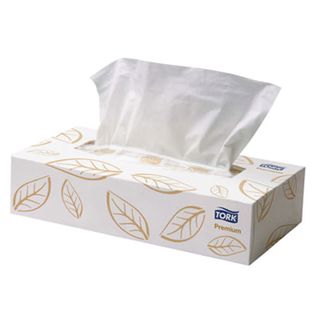 Eclipse Essentials Facial Tissues 100 S / 48 Essential products ...