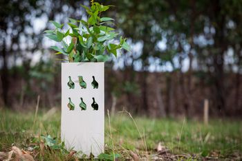 TREE GUARDS | Arborgreen