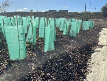 Clearance Products | Arborgreen