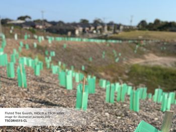 Willunga Urban Tree Guard 1600mm high x 700mm dia | Arborgreen