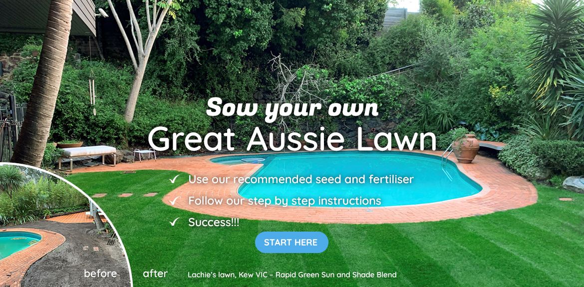 Great Aussie Lawns