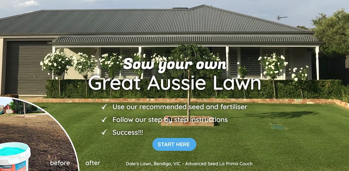 Great Aussie Lawns