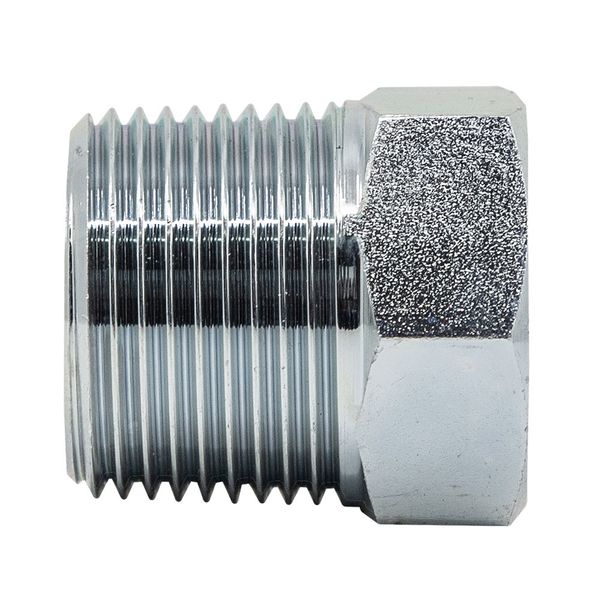 BSPT-Female X BSPT-Male