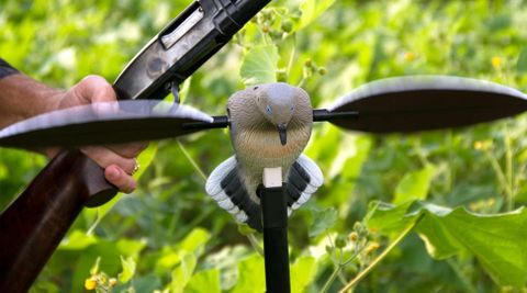 MOJO VOODOO DOVE | Bishop Distributing, Inc.