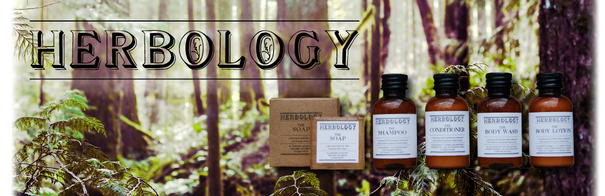 Expresso Services | Home Page