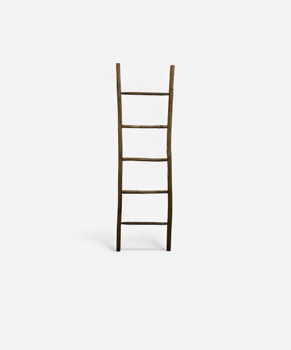 Rustic Wood Ladder