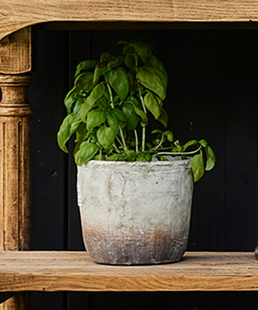 Marron Planter Pot Medium | French Country Collections