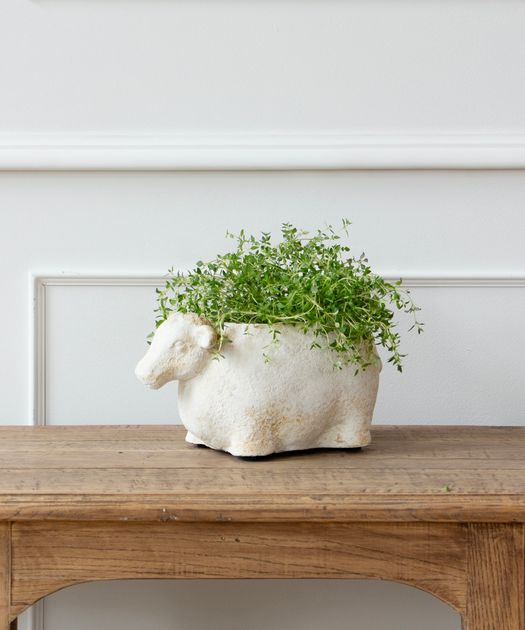 Sheep Flower Pot | French Country Collections