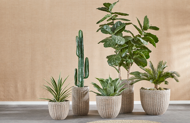 Florabelle Australia’s leading wholesaler of artificial flowers and ...