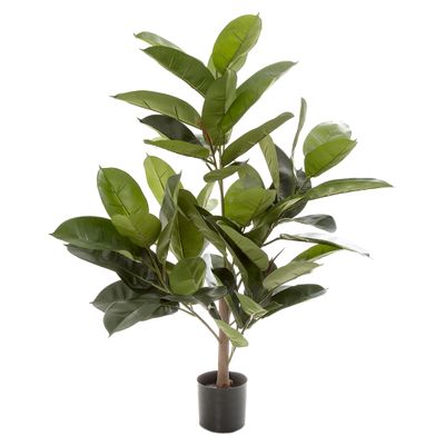 Split Philo Potted Bush 75cm