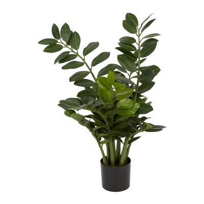 Split Philo Potted Bush 75cm