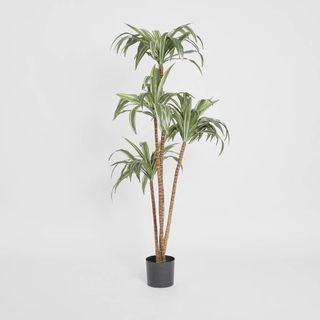 Philo Tree Real Touch 1.4m
