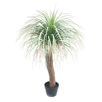 Split Philo Potted Bush 75cm