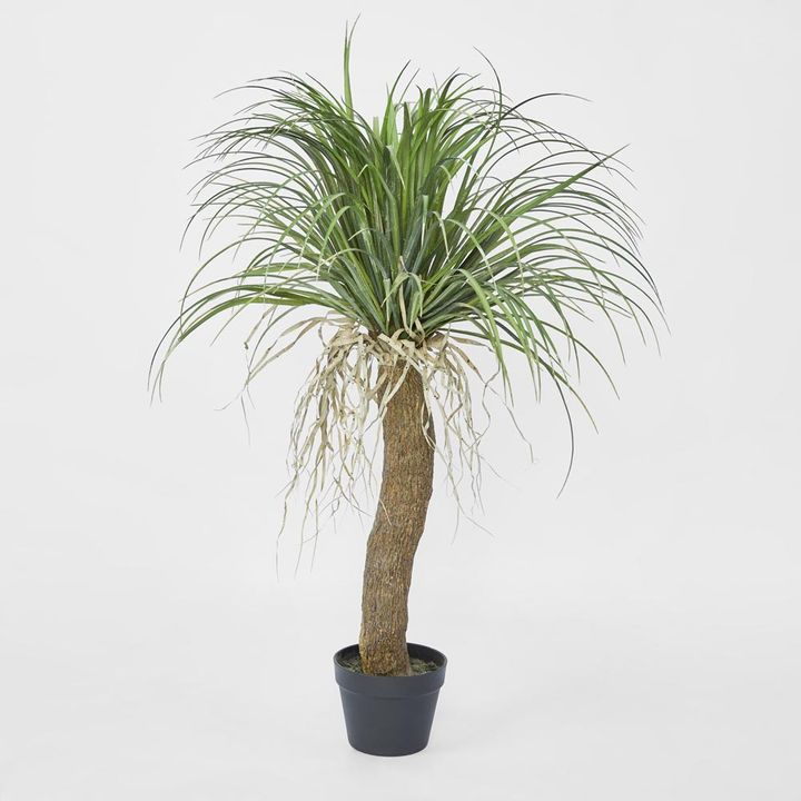 Grass Tree Small 1.1m