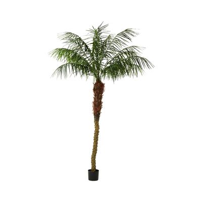 Real Touch Palm Tree In Black Pot 210cm