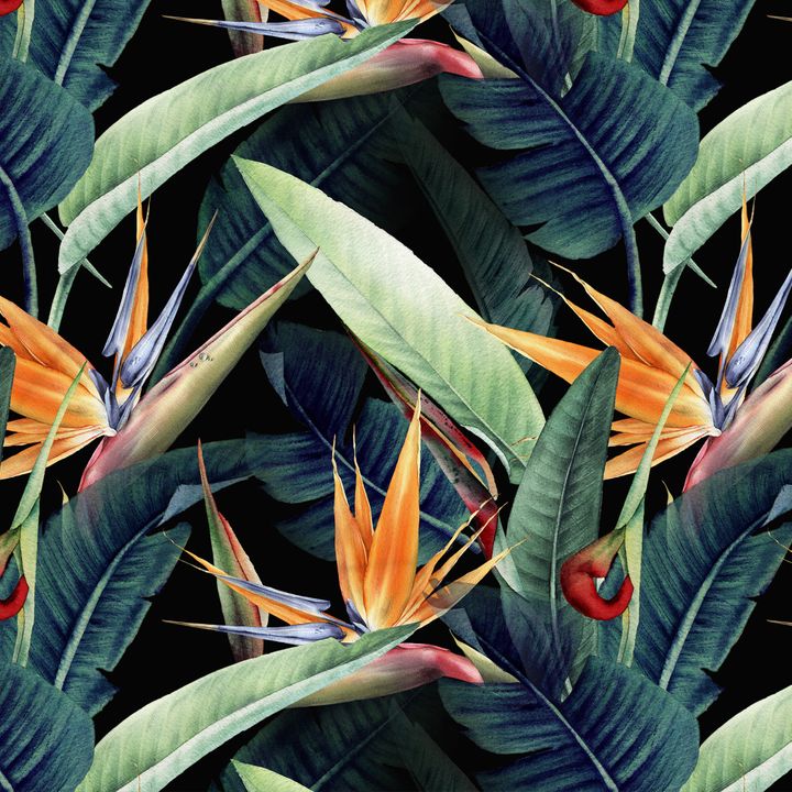 Birds of paradise wallpaper store