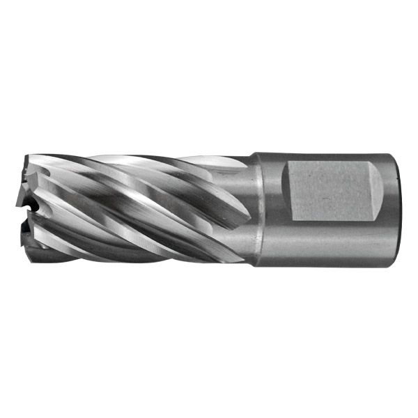 HOLEMAKER SILVER SERIES ANNULAR CUTTER, 1/2" X 1" - HM1/2X1 - ITM ...