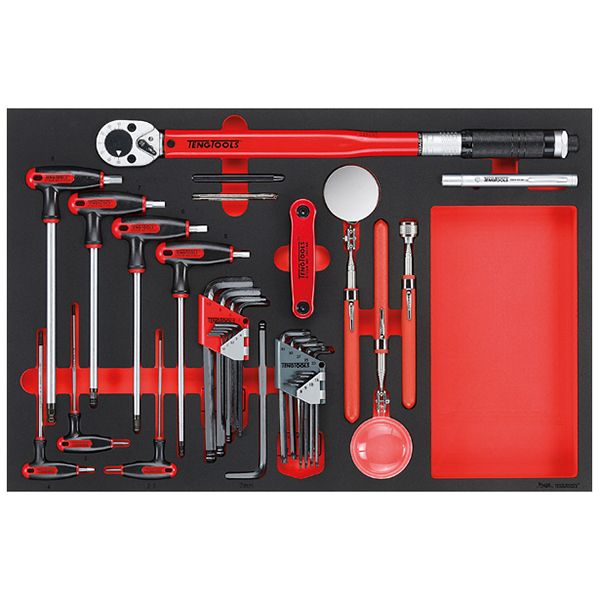 TENG 17PCE TORQUE WRENCH HEX/TX & INSP TOOL SET (EVA) - ITM Industrial ...