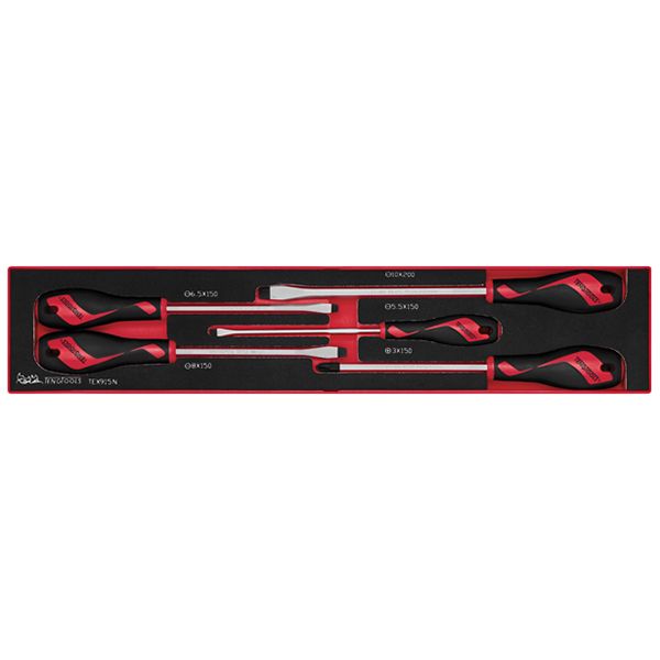 TENG 5PCE MD SCREWDRIVER SET - TEX-TRAY - ITM Industrial Products