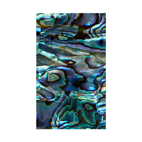 NZ Abalone Paua Shell Luméa - Formed by the Ocean