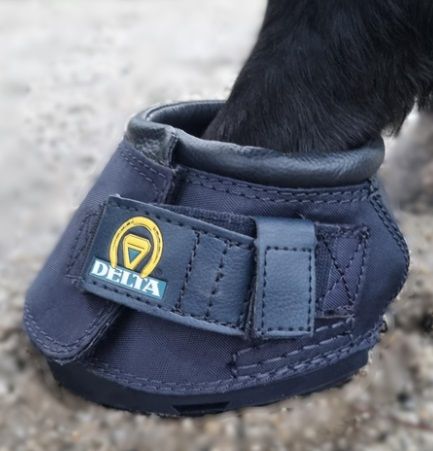 How to Correctly Measure & Fit a Horse's Hoof Boot in Australia ...