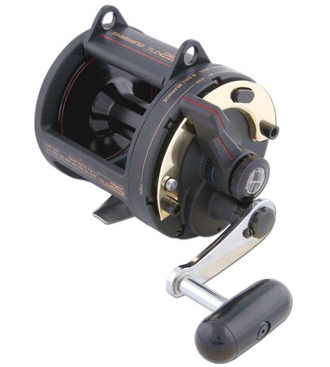 Shimano TLD 25 Snapper Kingfish Reel