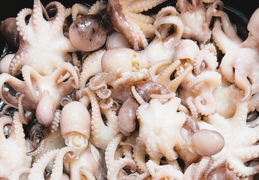 Frozen Baby Octopus 1kg (Click & Collect Only)