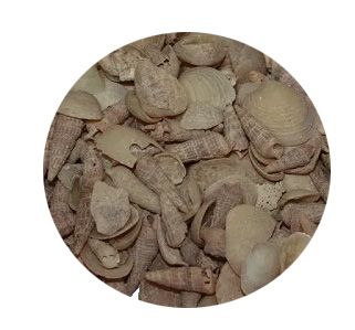 SHELL & CALCIUM GRITS