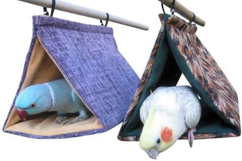 BIRD CARRY BOXES