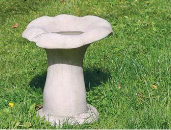 Small Toadstool | Stone and Water World