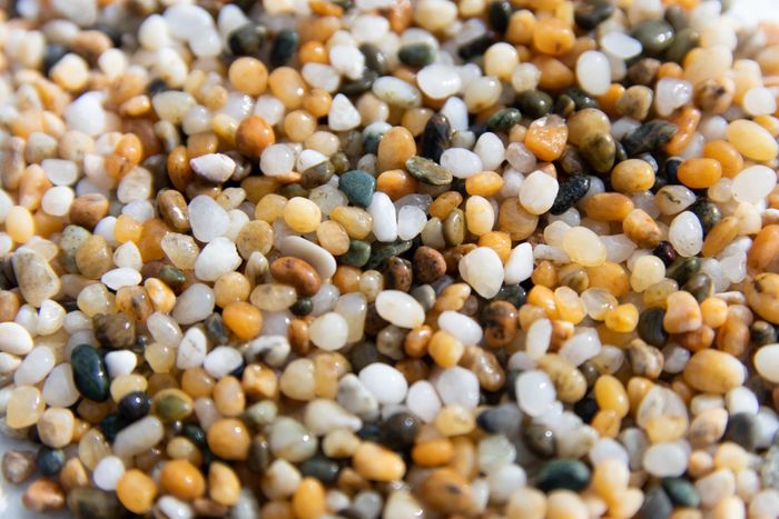 Autumn Harvest | Stone and Water World