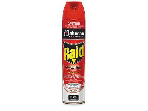 RAID RESIDUAL ONE SHOT FLY SPRAY 450GM