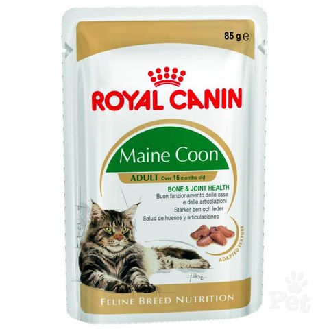 Royal Canin Cat Food Petmart
