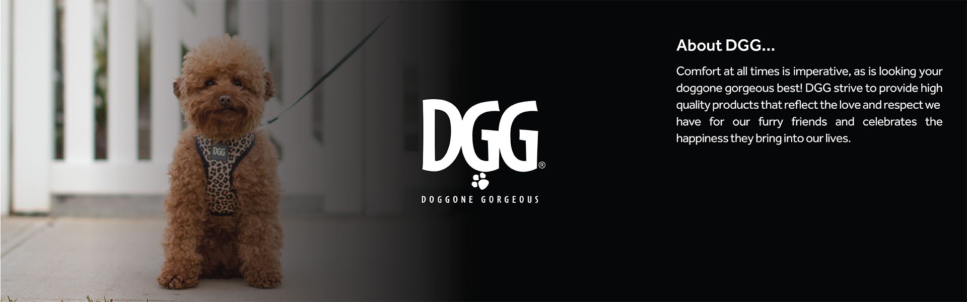 DGG