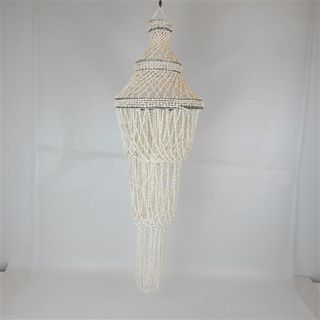 Shells & Shelly Things